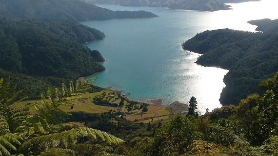 De Picton à French Pass, et de d'Urville Island à Nelson - Blog perso ...