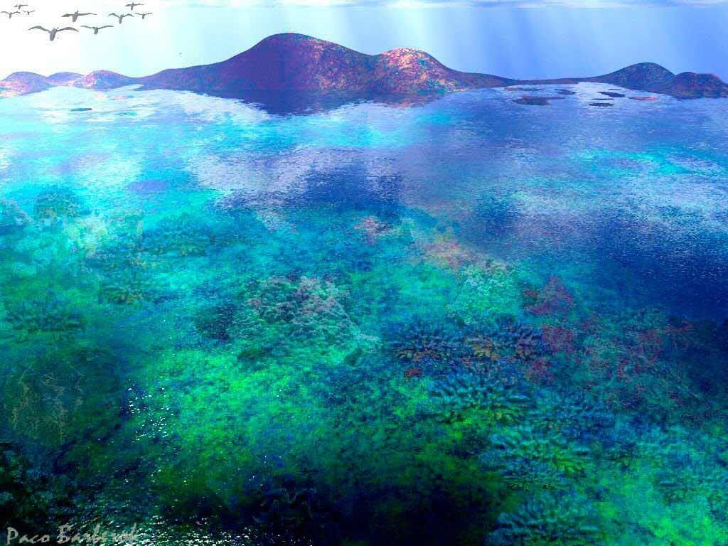 MER DE CORAIL - comme s'il en pleuvait