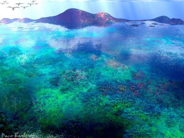 MER DE CORAIL - comme s'il en pleuvait