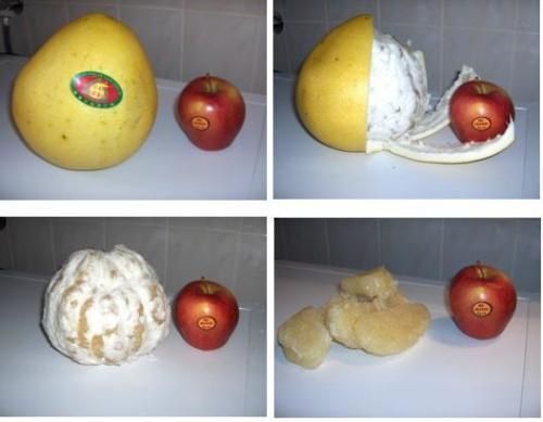 Pamplemousse chinois