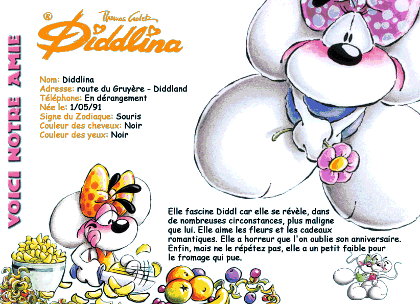 Qui sont-ils ? - Le meilleur de Diddl et ses amis