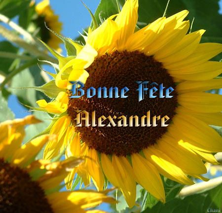 Bonne fête alexandre (22 avril) - Chani