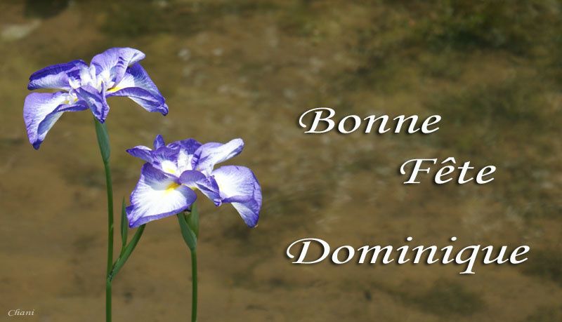Carte Bonne Fête Dominique - Chani