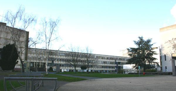 Si Ca vous Cause... - Psychadélick