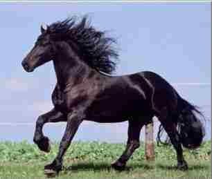 la maman frison av son bébé - sandmickeyleo