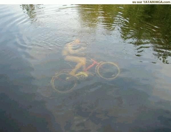 Un coach trés consciencieux . . . - fototac l'aviron 100 % humour