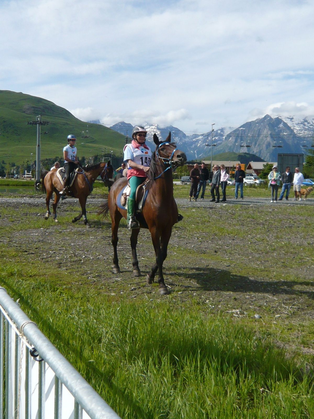 Damas el Derkouch, le + vieux cheval de la 2x70km de l'Alpe d'Huez - Le ...