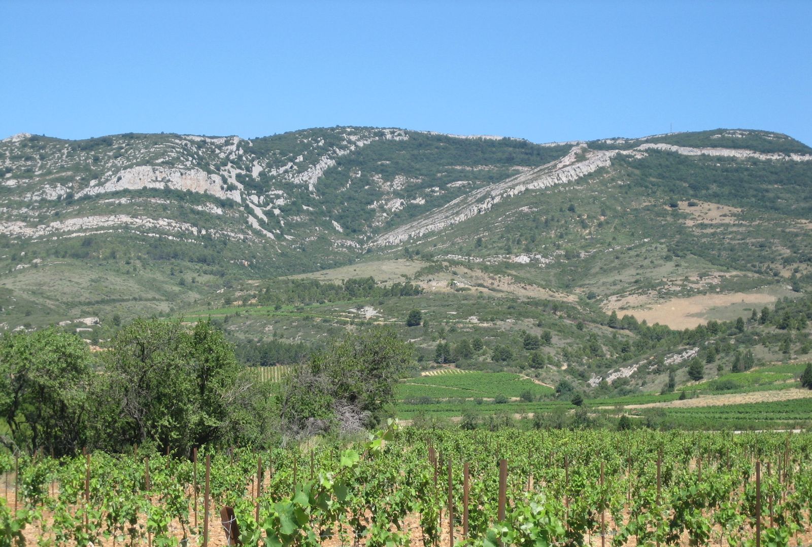 ALARIC, MONTAGNE DES CORBIERES - L'Aude et les Corbières