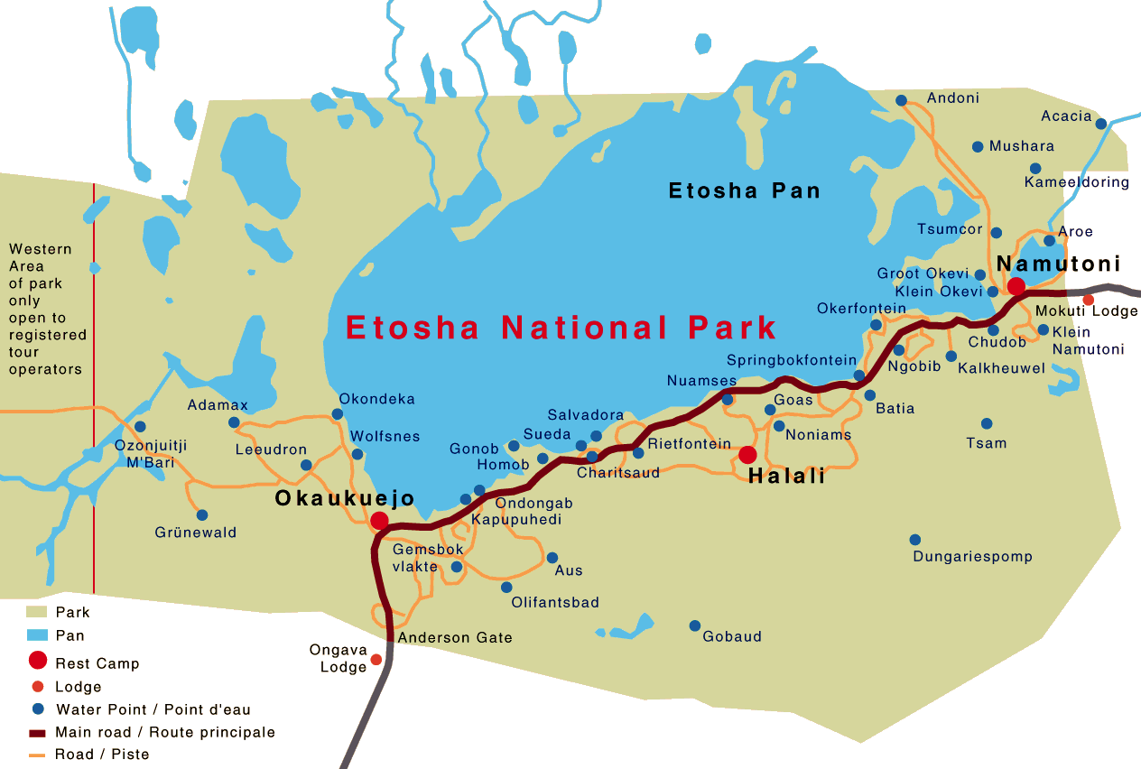 Réserve d'ETOSHA - Carnets-de photos voyages