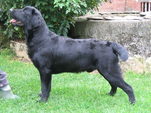 L'Indispensable - Salon