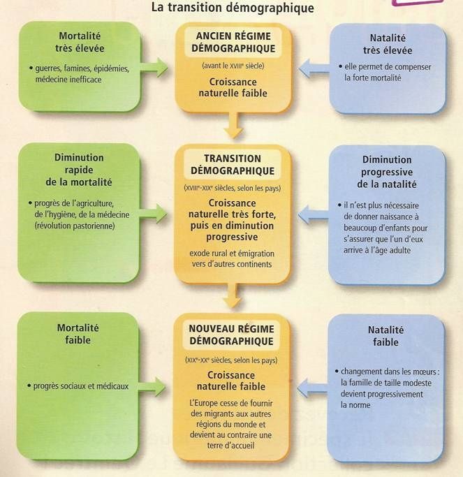 Schéma explicatif de la transition démographique - MUSECLIO