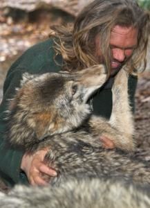 Shaun Ellis, (Wolf Researcher) ! - GeekStyle