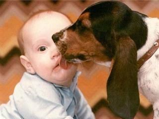 L Association Léon Bérard pour les Enfants Cancéreux (ALBEC) - Jeunes ...