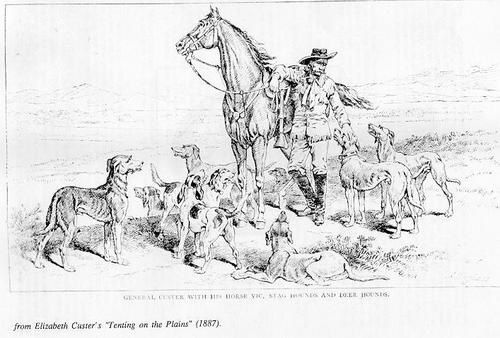 Custer's dogs - Custer and the Little Bighorn
