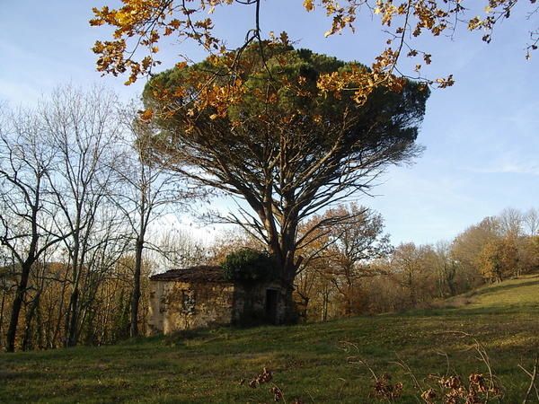 Sainte-Juliane, la colline inspirée (article complet) - Lieux secrets ...