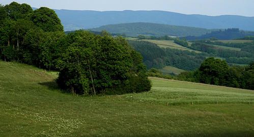 Le Parc du Morvan - Le blog de l'eau vive