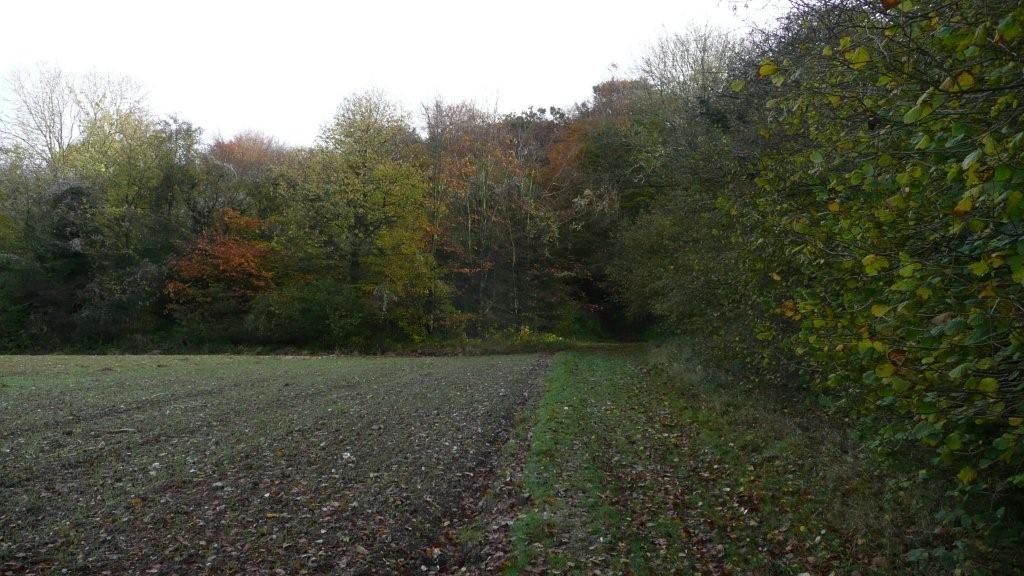 (76) Superbe parcours dans la forêt domaniale d'Arques, proche de ...