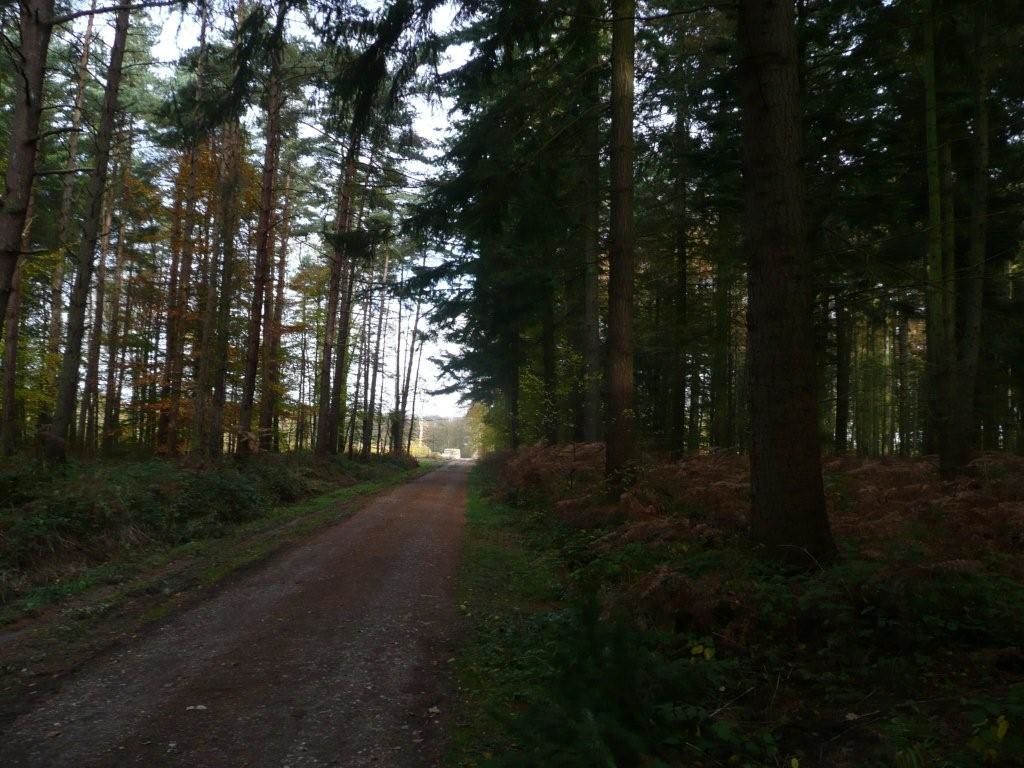(76) Superbe parcours dans la forêt domaniale d'Arques, proche de ...