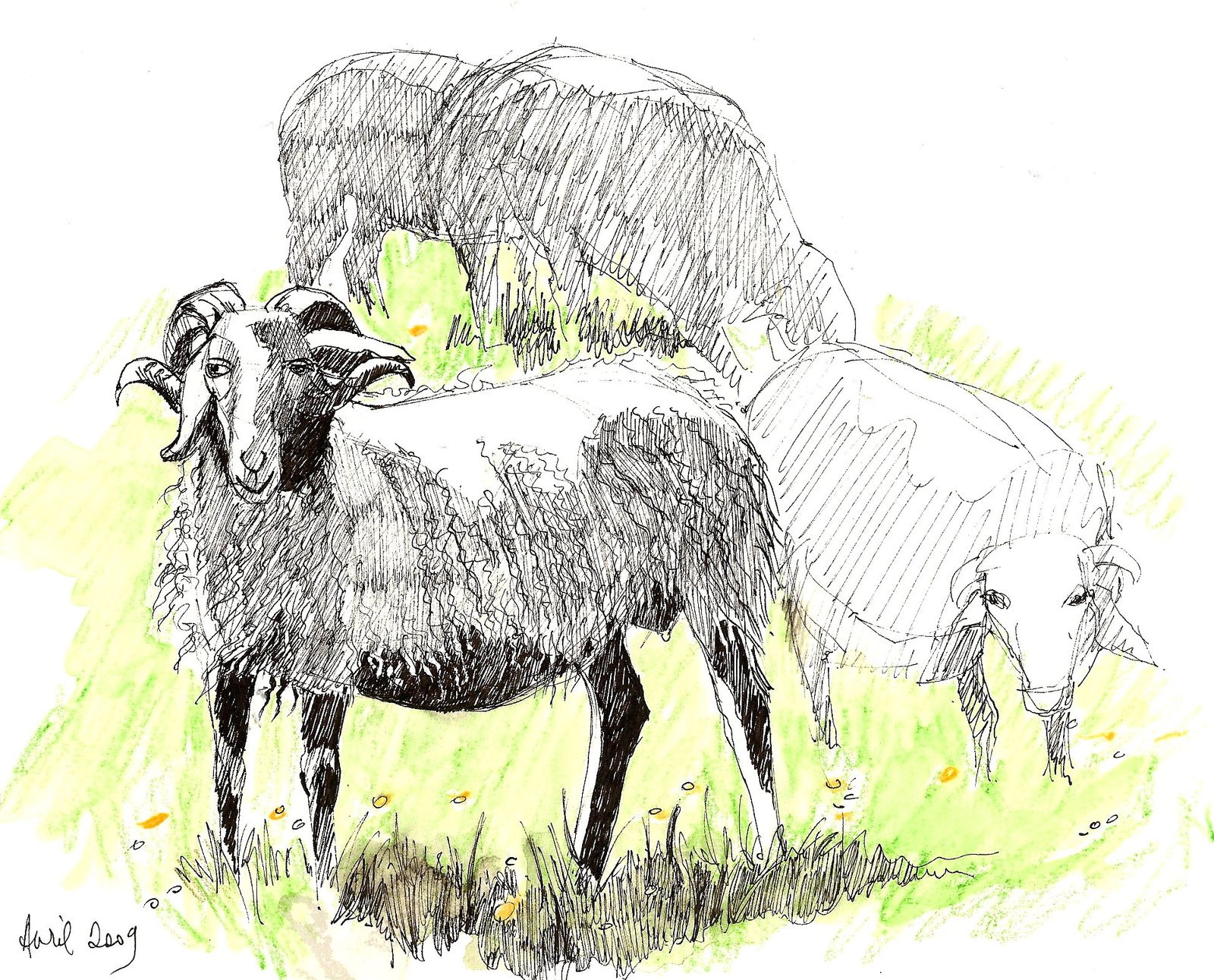 Dessine-moi un mouton... - Le blog de beatrice