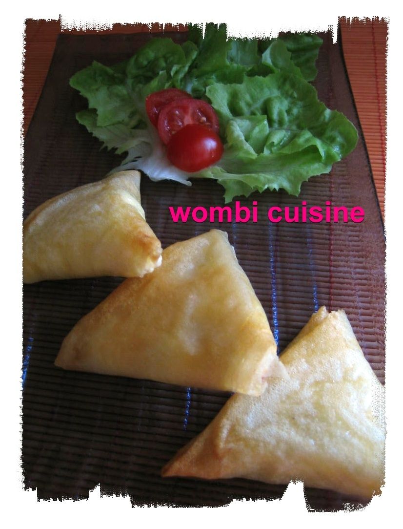 Samoussas au fromage - Le blog de wombi
