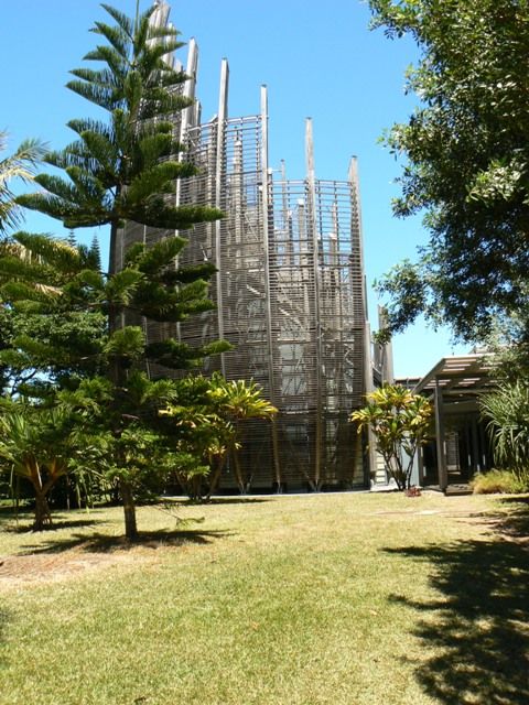 La nature est bien faite II - Le pin colonnaire - Les Nouvelles ...