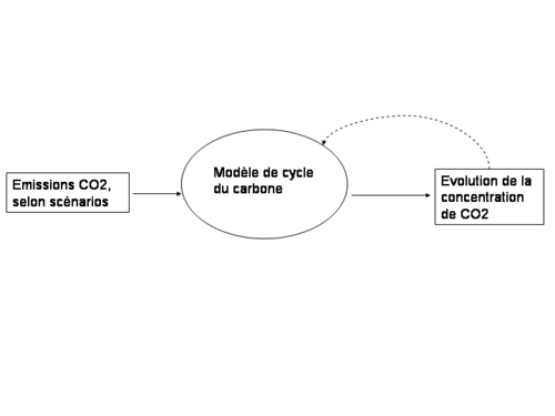 Sur le feedback climat/carbone... - Le blog de ICE