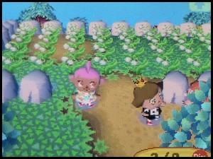Champ d'échelle de Jacob chez Bijou - Journal Animal Crossing New Leaf