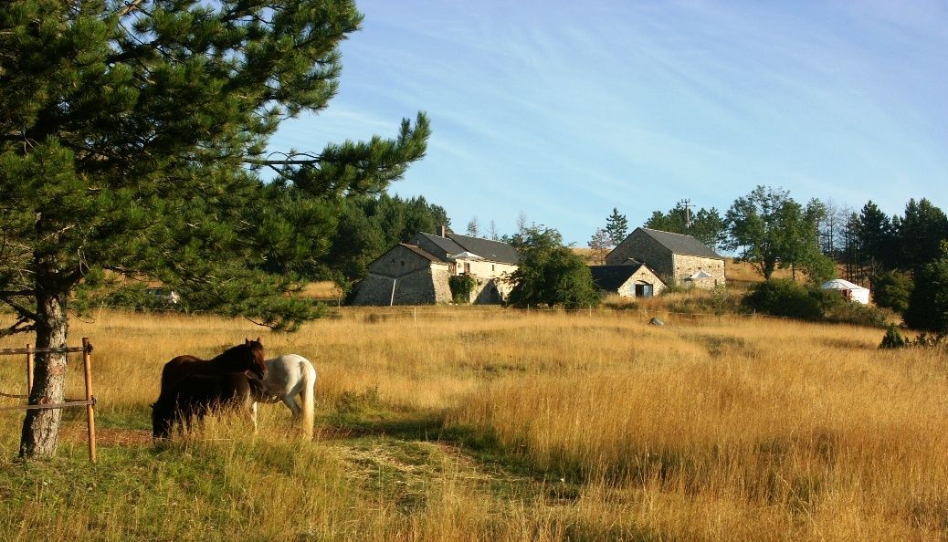 Descriptif - Le blog de La Champ