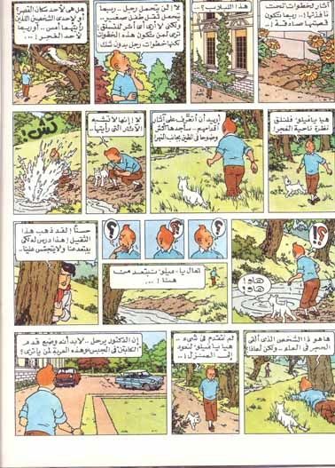 Albums de tintin en arabe - L'Egypte entre Mer et désert