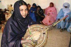 L'imzad, l'instrument - Le blog Imzad