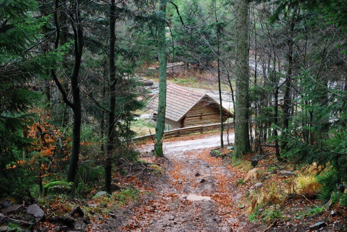 Baraque Carrée et graffitis ! - Sarrebourg 57400