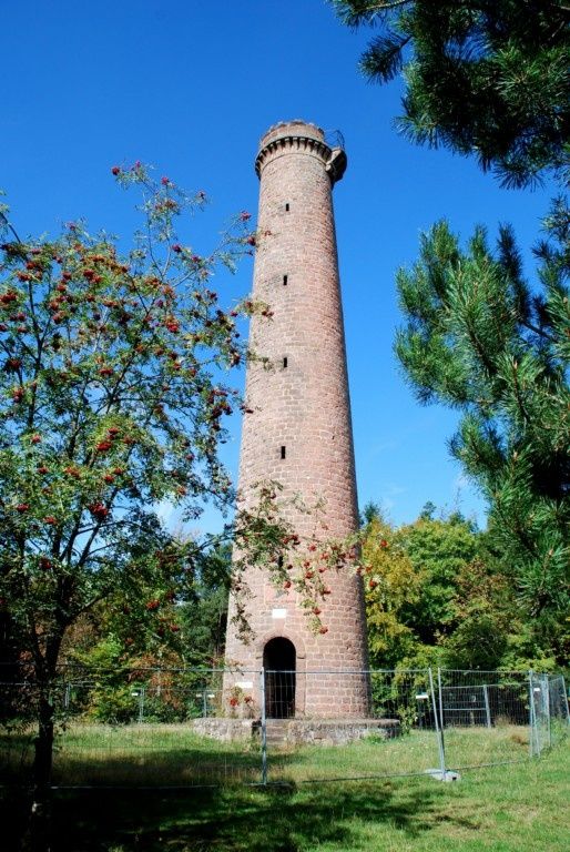 Le Grand Wintersberg (2) - Sarrebourg 57400