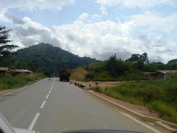 Les routes au Gabon - Les aventures d´Emilie au Gabon