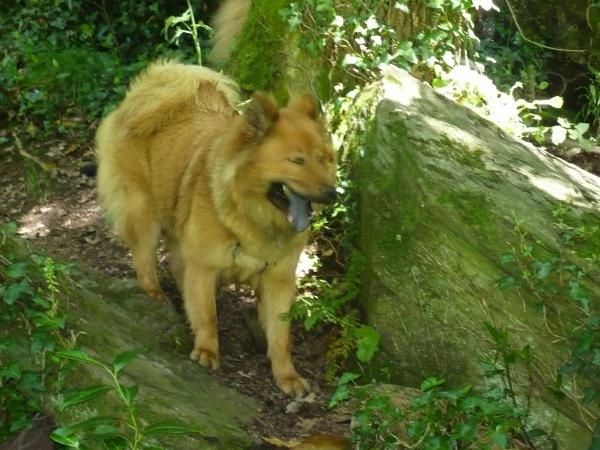 la fin de la rencontre - netcom