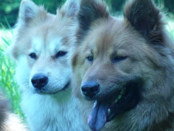 la fin de la rencontre - netcom