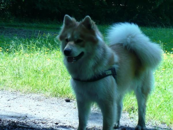 la fin de la rencontre - netcom