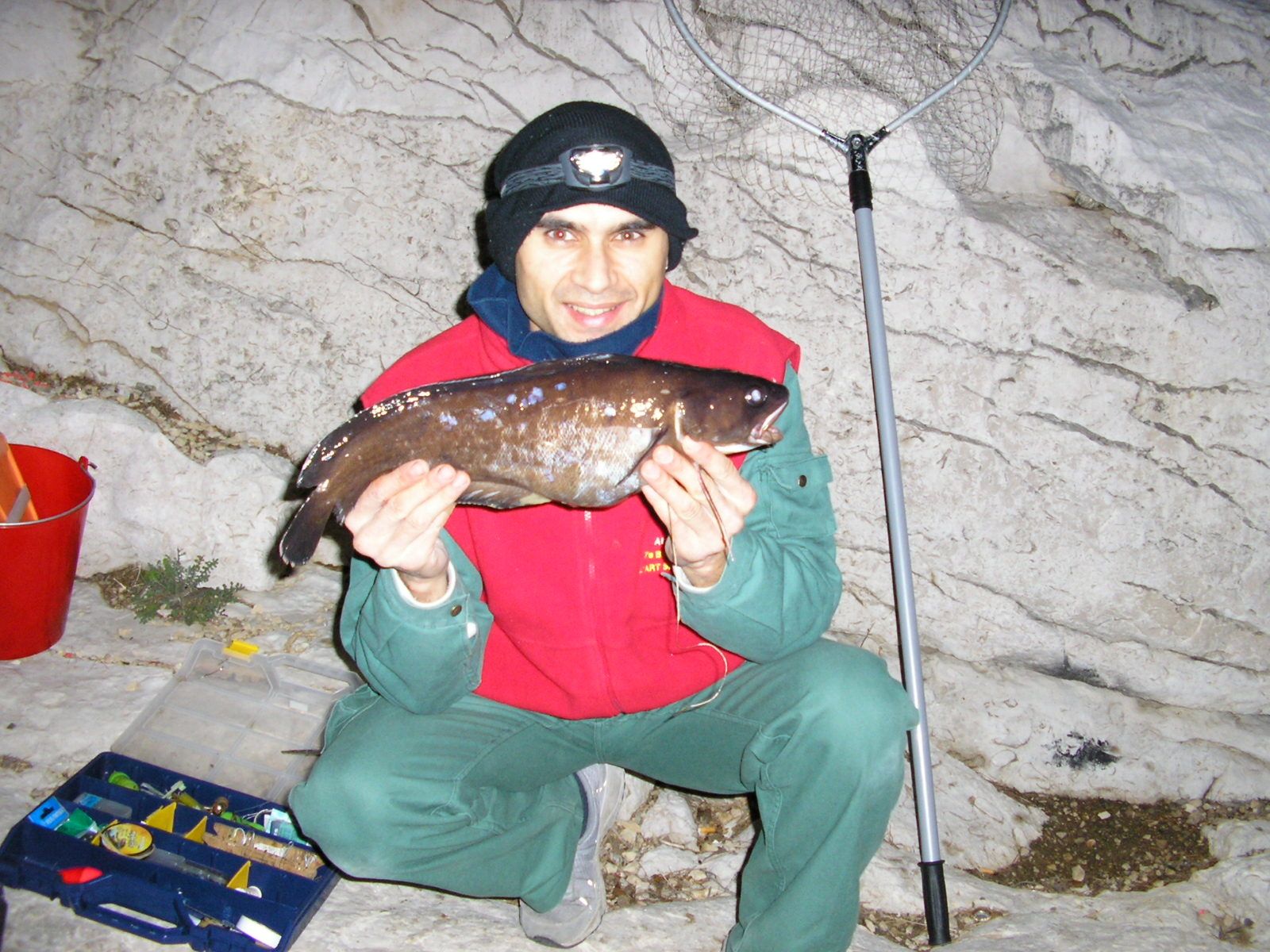 Mostelle de Cedric. - Les fous de pêche Méditerranée