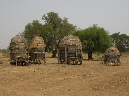 Séjour dans la province de Tapoa - Morgane en Afrique de l'Ouest pour ASF