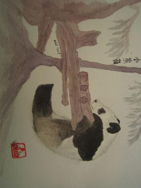 Anecdote sur le Panda ... - Les PANDAS , "ma" peinture et la Chine ...
