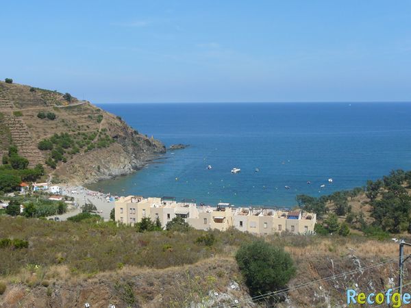Réserve Naturelle Marine de Cerbère-Banyuls (66) - Recofge