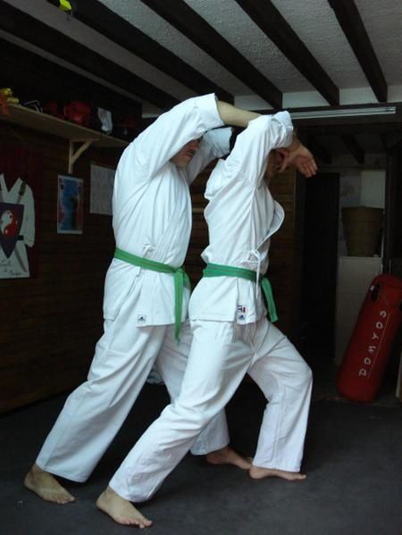 APERCU DU PROGRAMME DE KI JUTSU - TAISHINDO