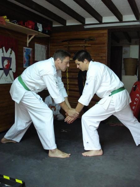 APERCU DU PROGRAMME DE KI JUTSU - TAISHINDO