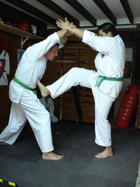 APERCU DU PROGRAMME DE KI JUTSU - TAISHINDO