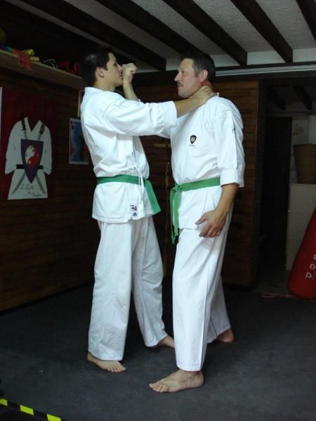 APERCU DU PROGRAMME DE KI JUTSU - TAISHINDO