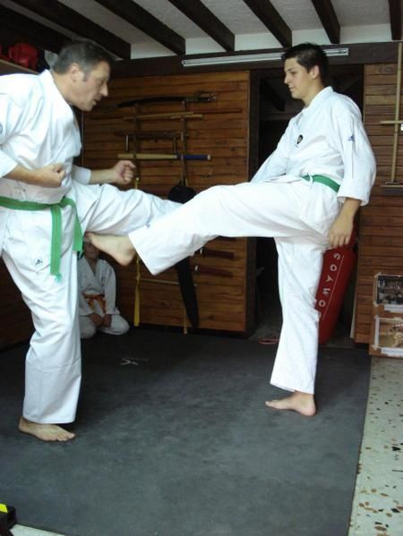 APERCU DU PROGRAMME DE KI JUTSU - TAISHINDO