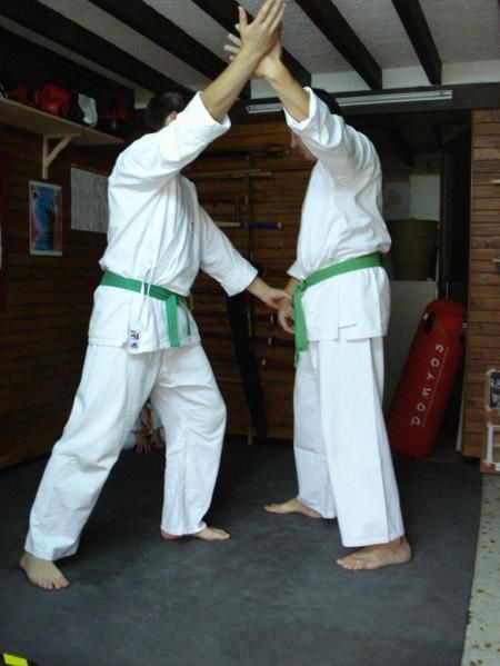 APERCU DU PROGRAMME DE KI JUTSU - TAISHINDO