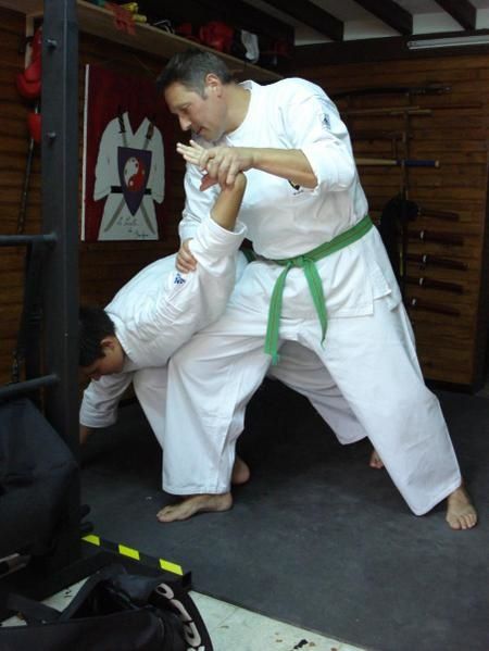 APERCU DU PROGRAMME DE KI JUTSU - TAISHINDO