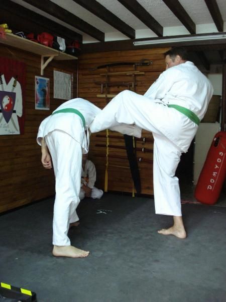 APERCU DU PROGRAMME DE KI JUTSU - TAISHINDO