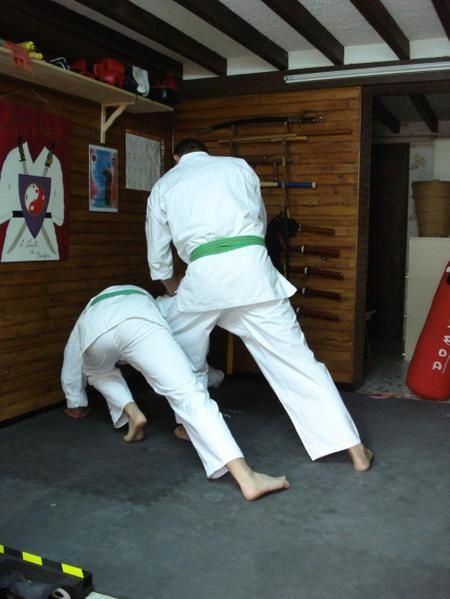 APERCU DU PROGRAMME DE KI JUTSU - TAISHINDO