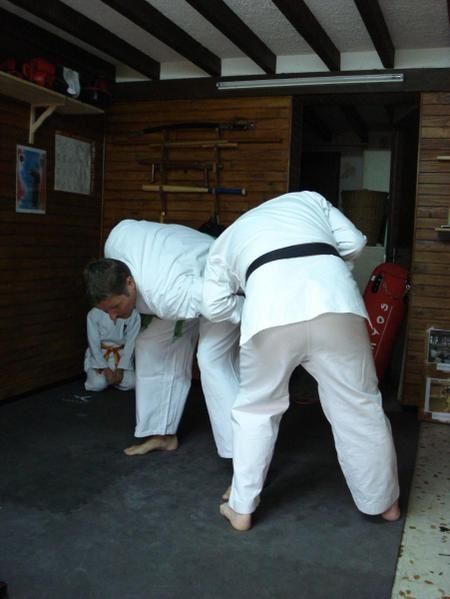 APERCU DU PROGRAMME DE KI JUTSU - TAISHINDO